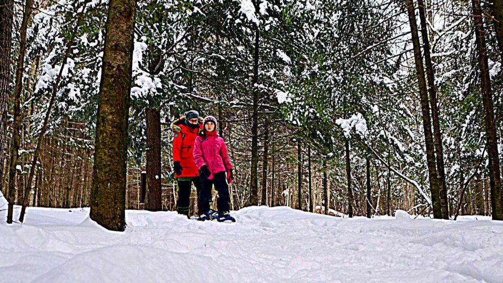 Les parcs nationaux ouvrent de nouveau gratuitement leurs portes cet ...