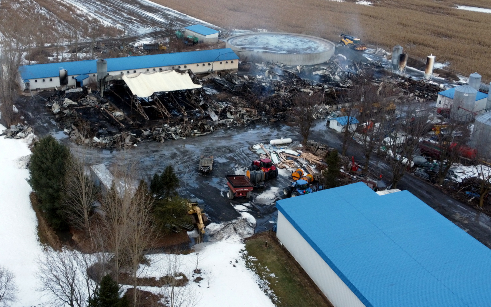 Incendie majeur dans une porcherie : Des centaines de bêtes périssent ...